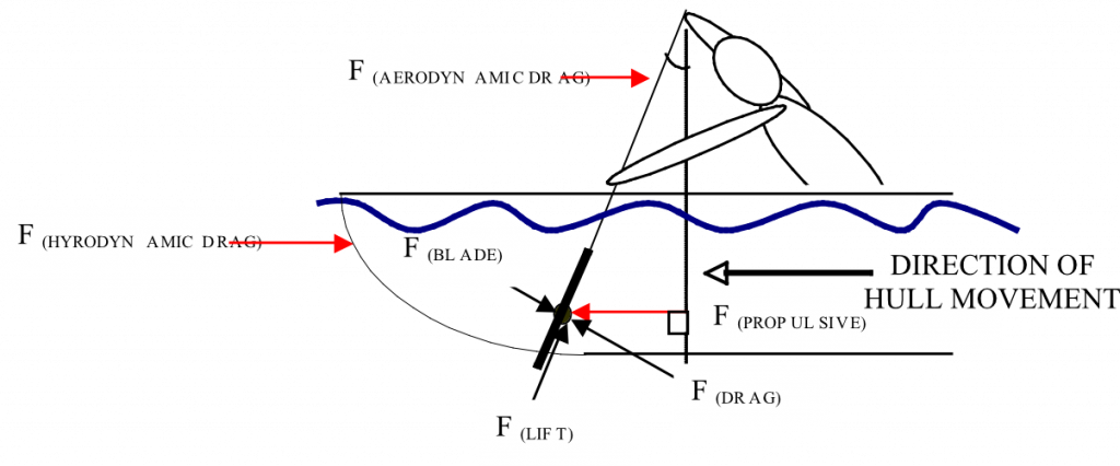 Biomechanics of Dragon Boat Racing – Part 2 | Dragon Boat Net